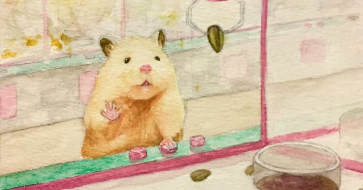 იაპონელი არტისტი თავისი ზაზუნას ყოველდღიურ ცხოვრებას ხატავს [გალერეა ...